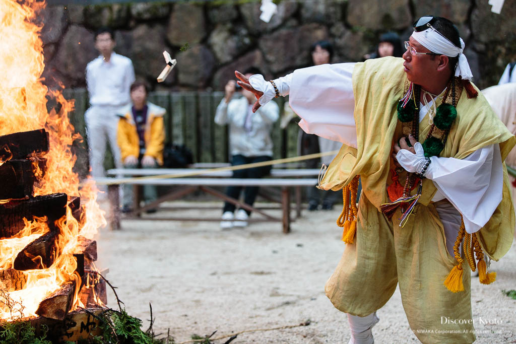 Aki Matsuri | Discover Kyoto