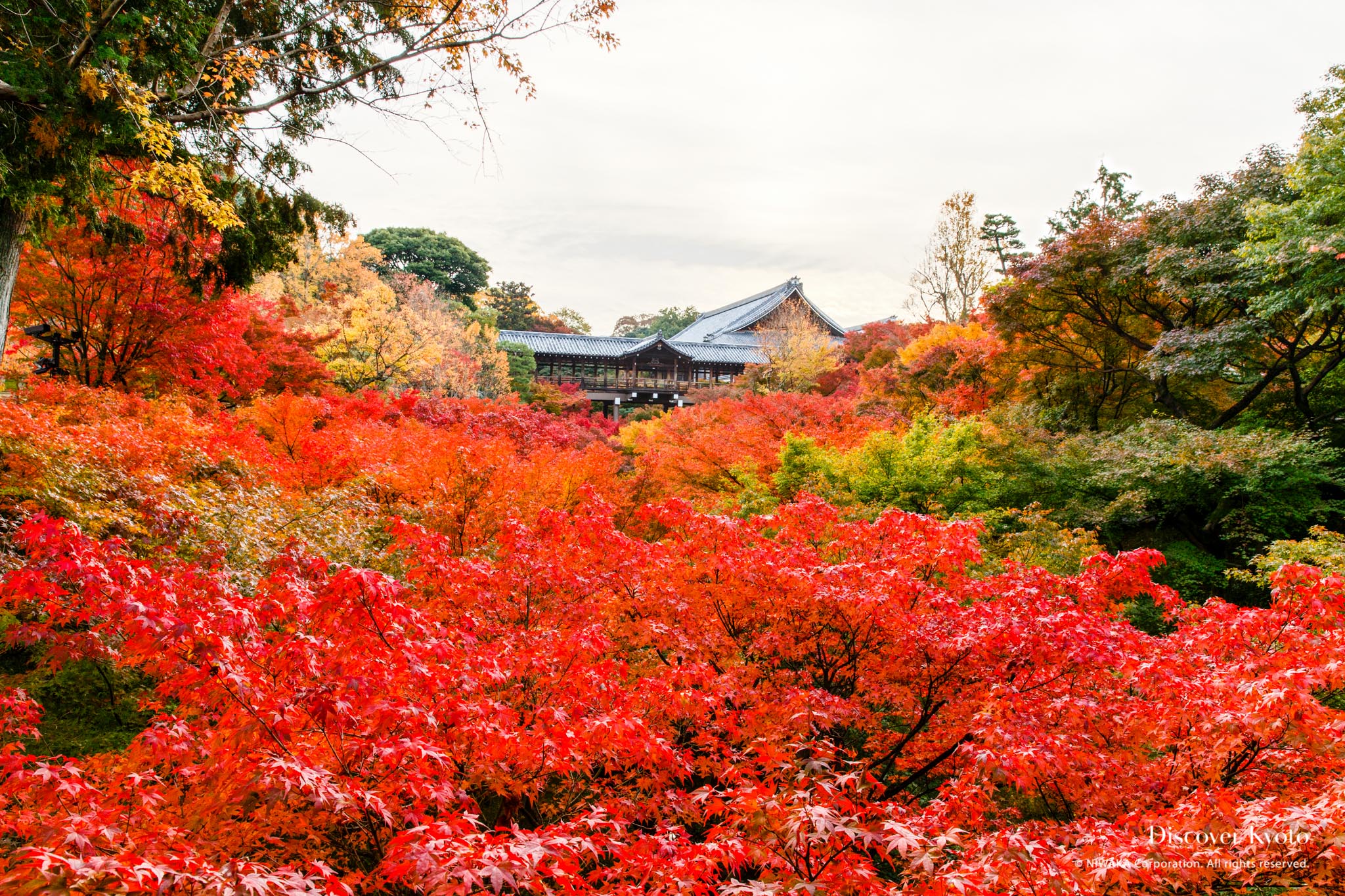 Tōfuku-ji | Discover Kyoto